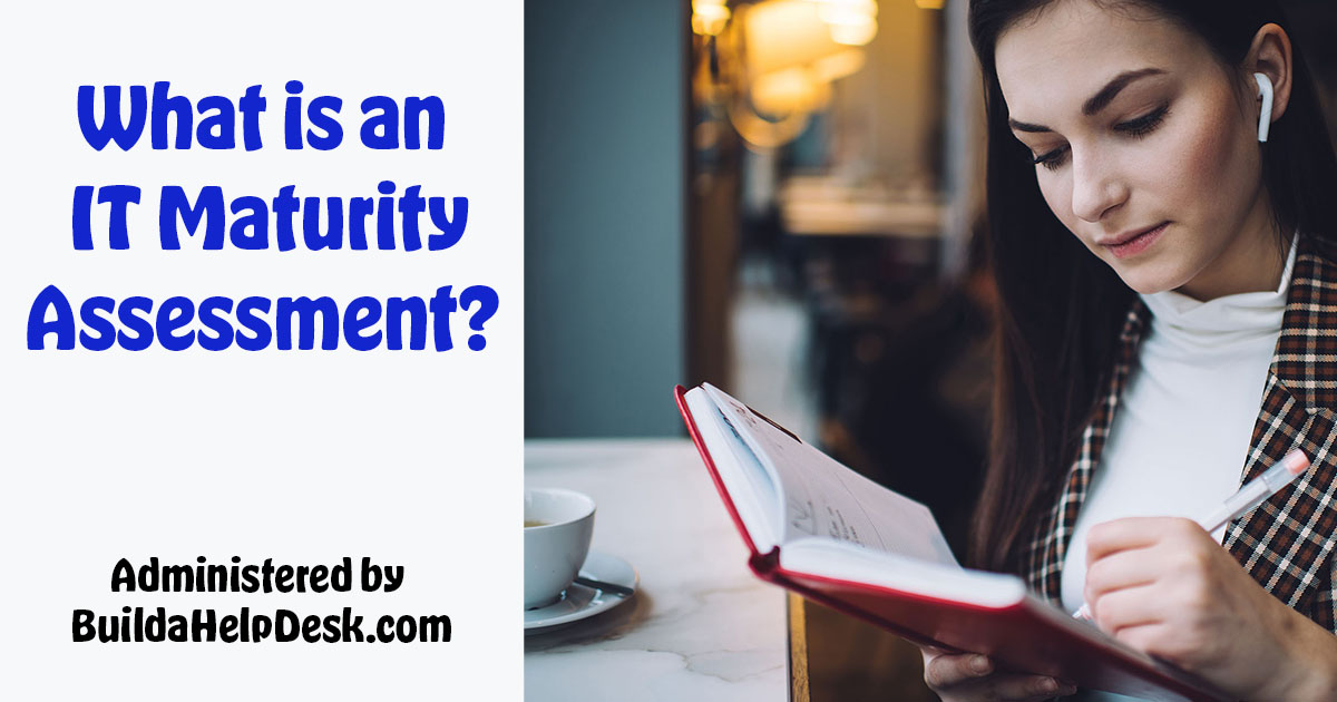What is an IT Maturity Assessment?