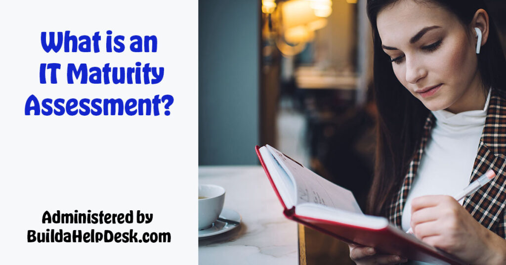 It Maturity Assessment Archives