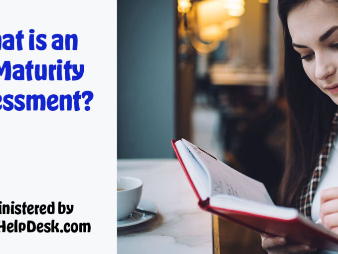 IT Maturity Assessment Archives